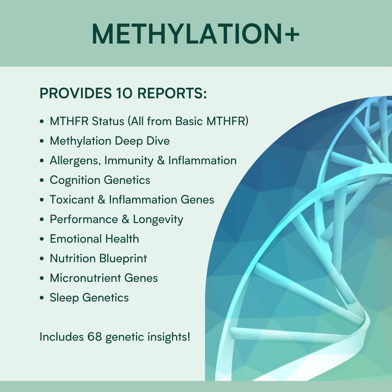 Methylation+ & Cognition+ Gene Test Bundle – Fenix Health Science